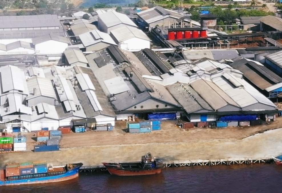 Industri Kelapa Terpuruk, PT Sambu Lakukan PHK Massal – Durasi.co.id